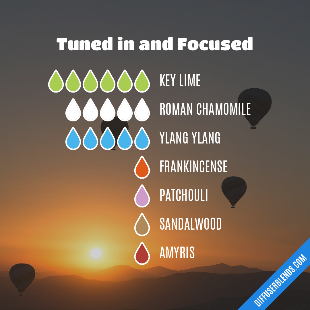 Tuned in and Focused | DiffuserBlends.com