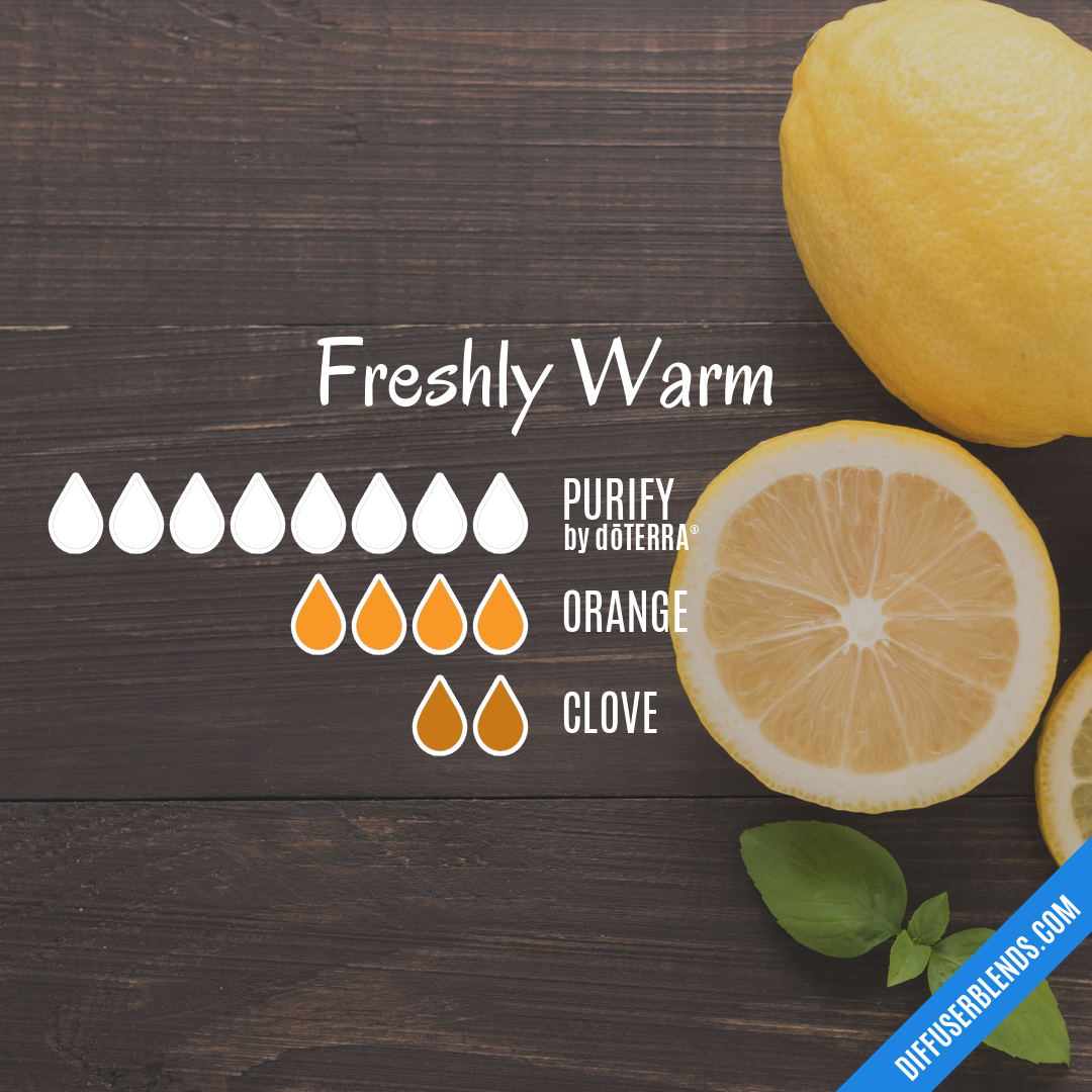Freshly Warm | DiffuserBlends.com