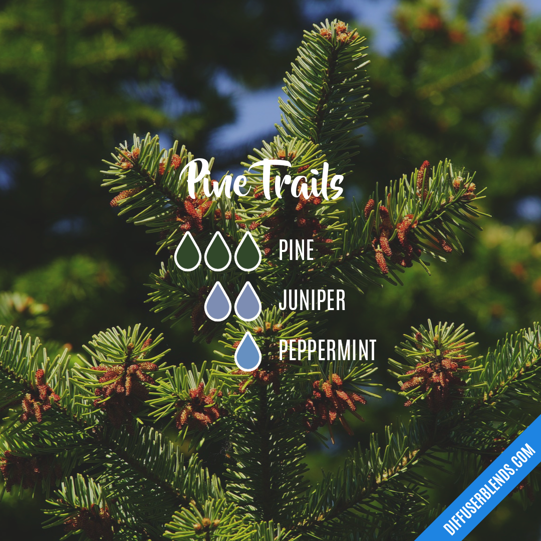 Pine Trails | DiffuserBlends.com