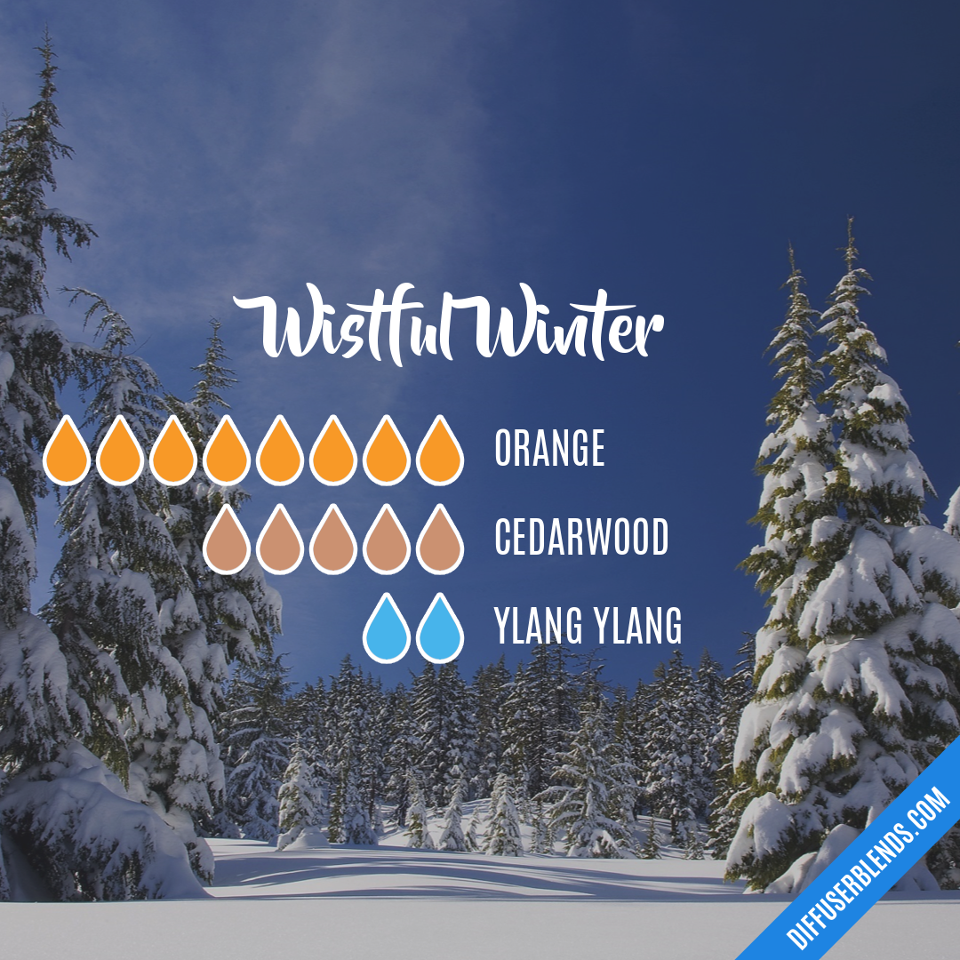 Wistful Winter | DiffuserBlends.com