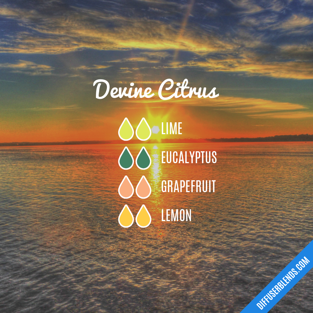 Devine Citrus | DiffuserBlends.com