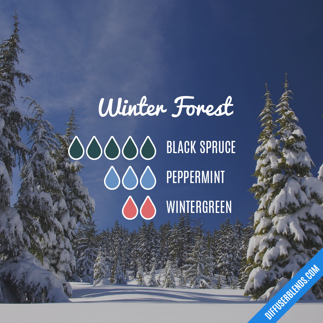 Winter Forest | DiffuserBlends.com