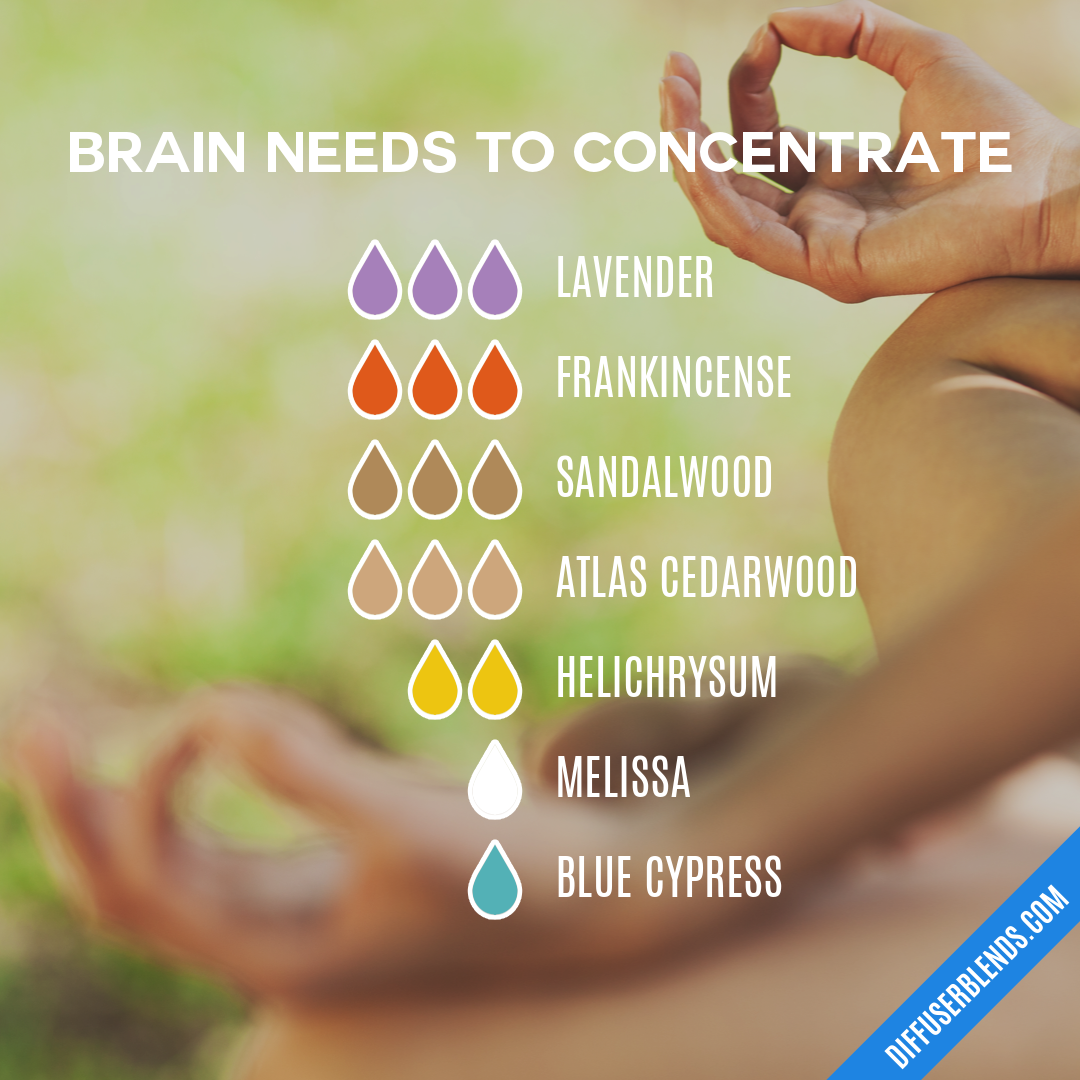 Brain Needs to Concentrate | DiffuserBlends.com