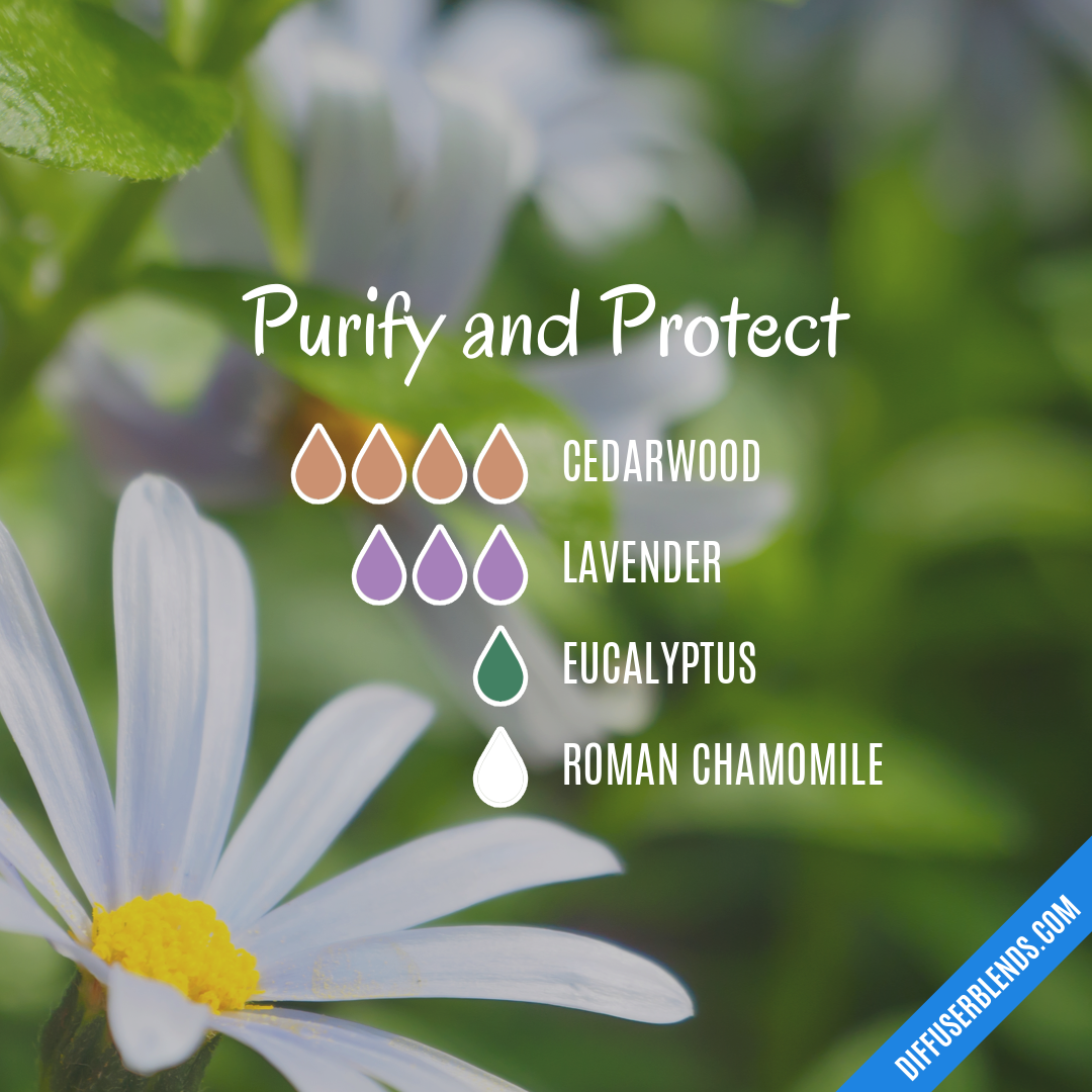 Purify and Protect | DiffuserBlends.com