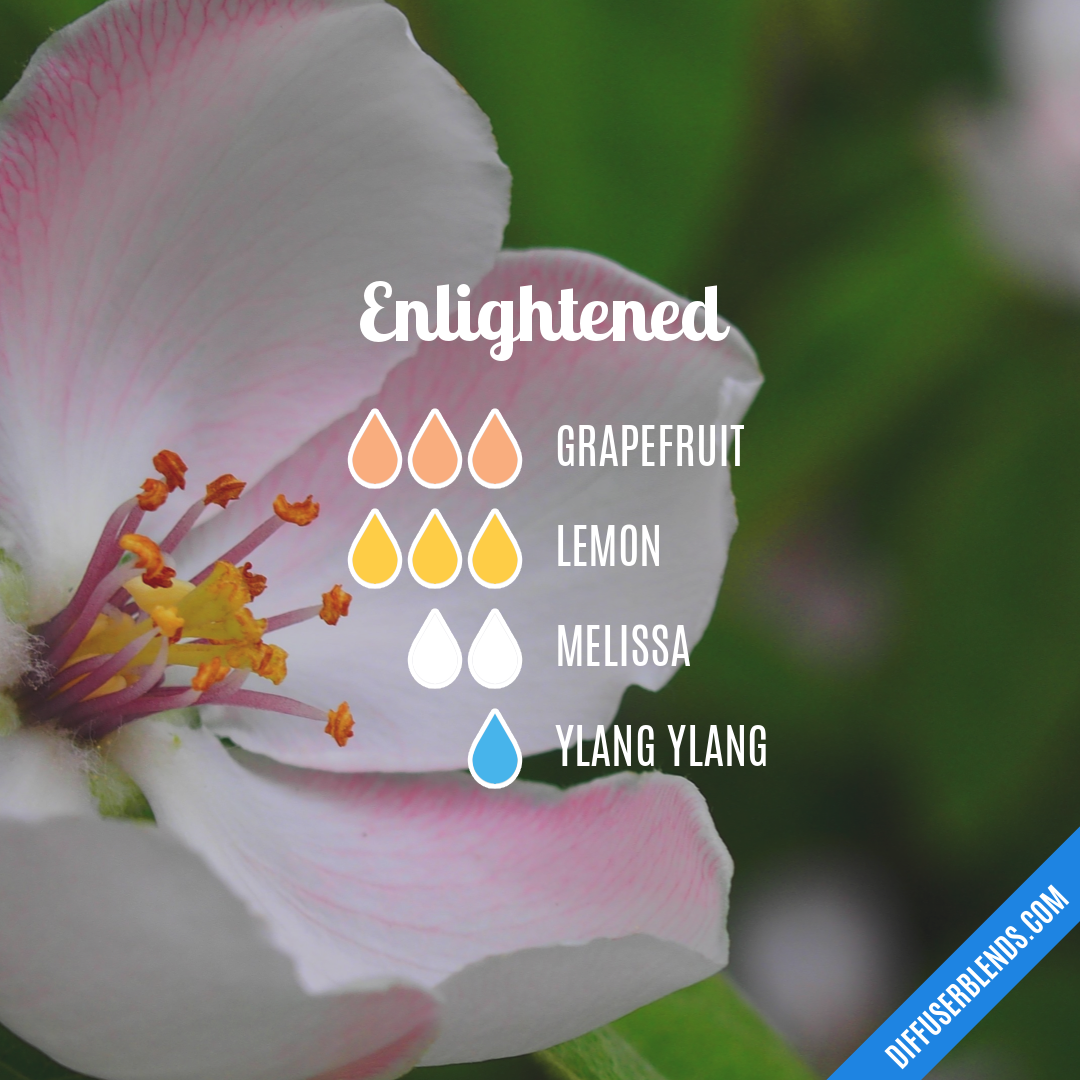 Enlightened | DiffuserBlends.com