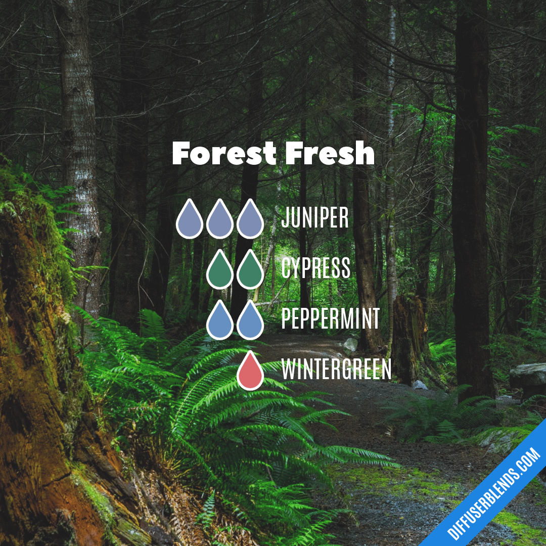 Forest Fresh | DiffuserBlends.com