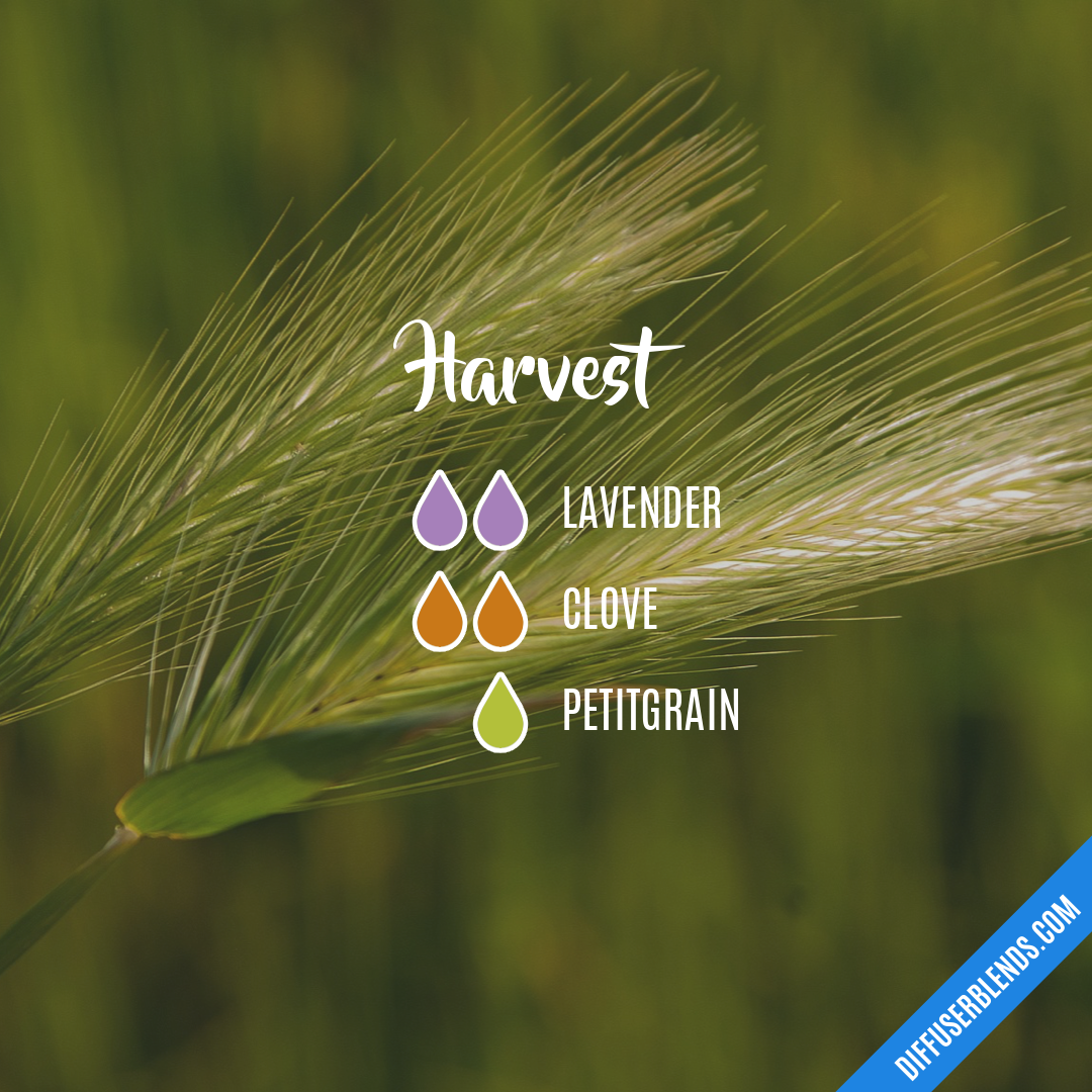 Harvest | DiffuserBlends.com
