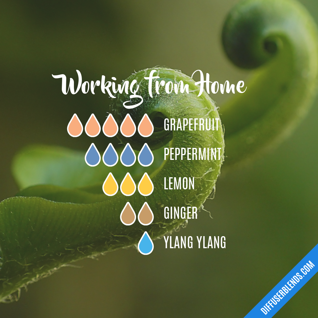 Working from Home | DiffuserBlends.com