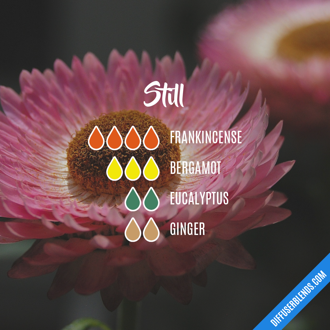Still | DiffuserBlends.com