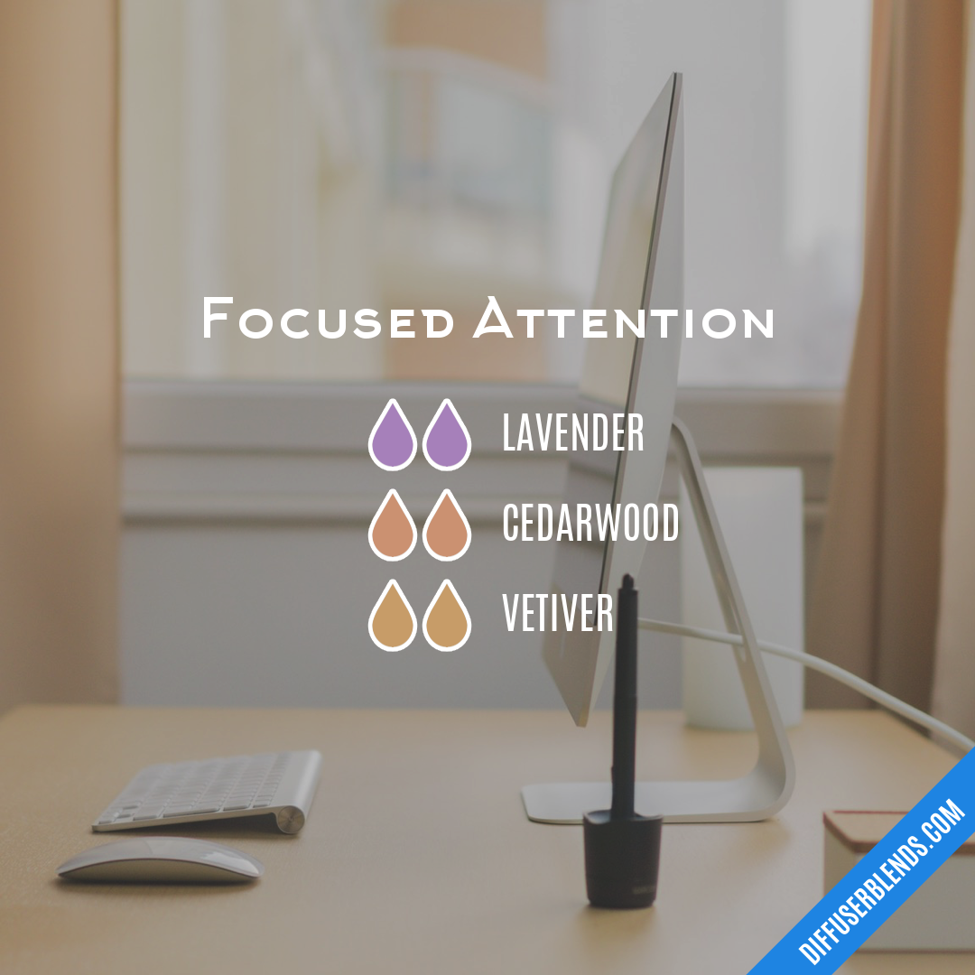 Focused Attention | DiffuserBlends.com