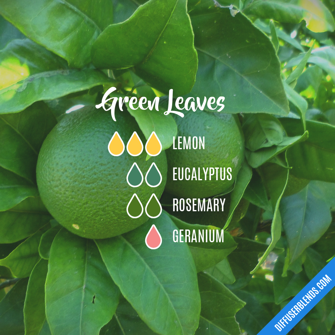 Green Leaves | DiffuserBlends.com