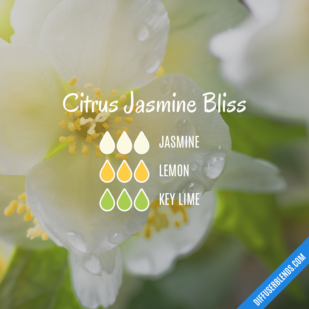 Citrus Jasmine Bliss | DiffuserBlends.com