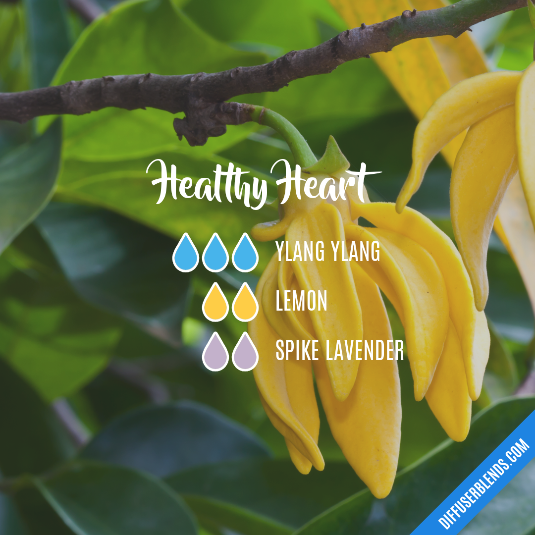 Healthy Heart | DiffuserBlends.com