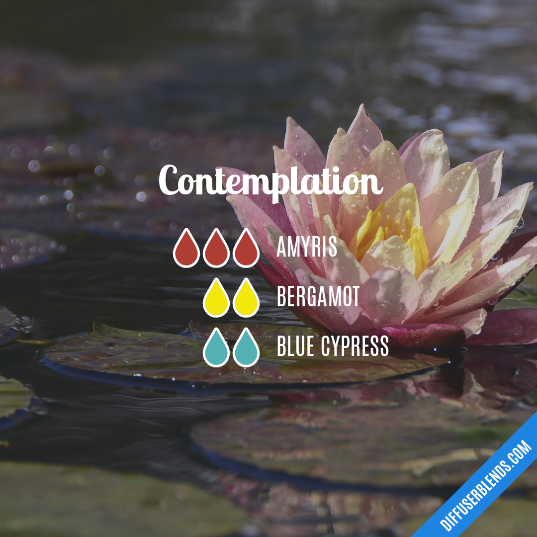 Contemplation | DiffuserBlends.com