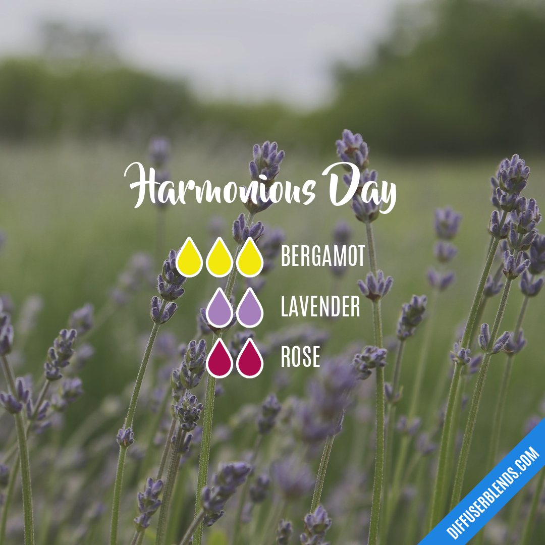 Harmonious Day | DiffuserBlends.com