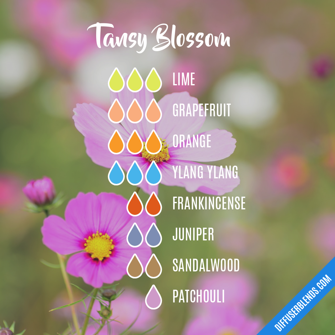 Tansy Blossom | DiffuserBlends.com