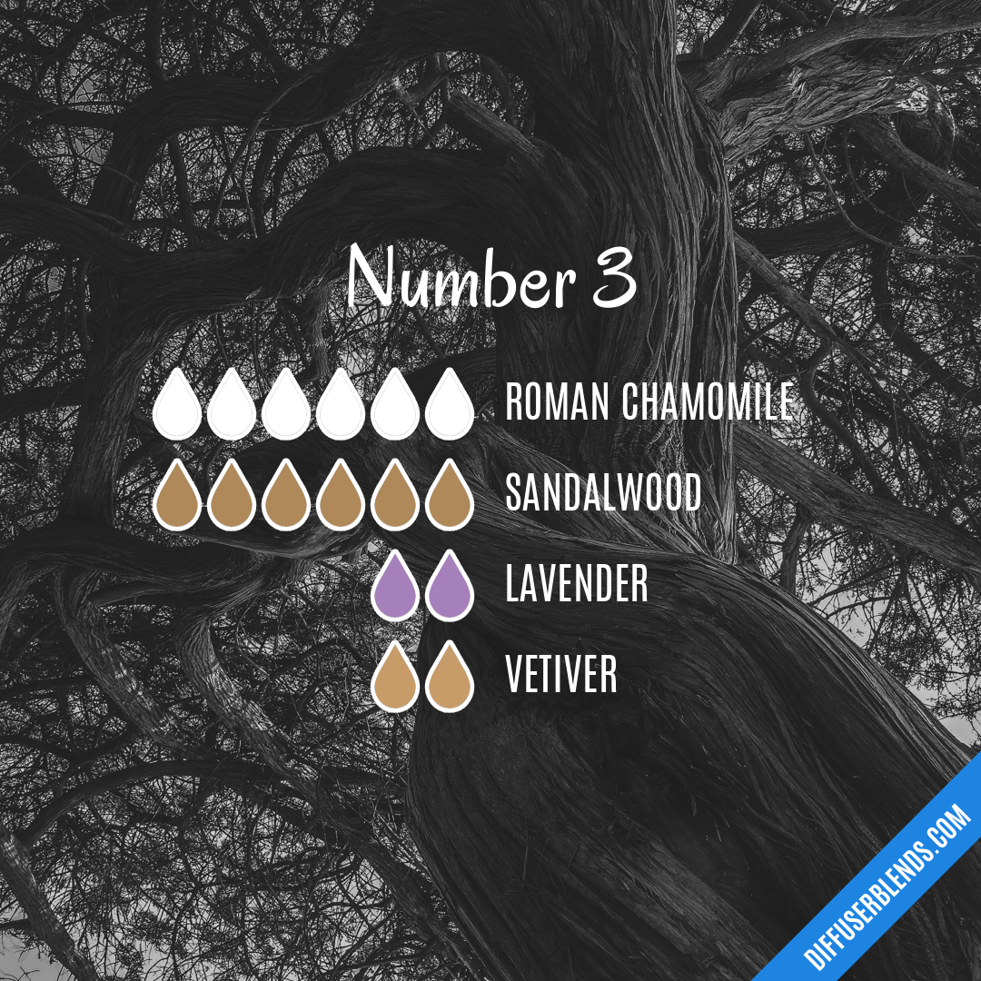 Number 3 | DiffuserBlends.com