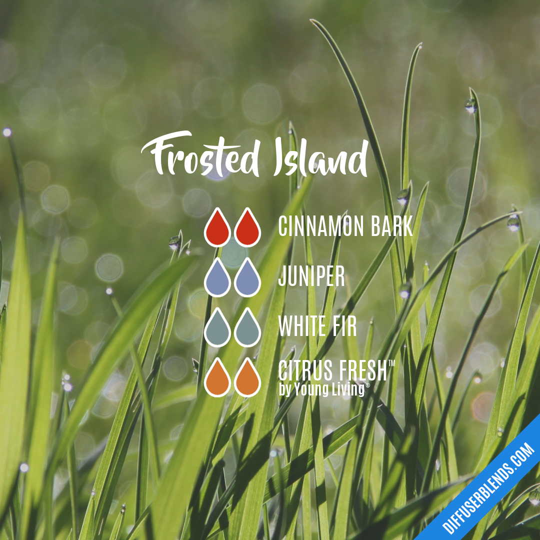 Frosted Island | DiffuserBlends.com