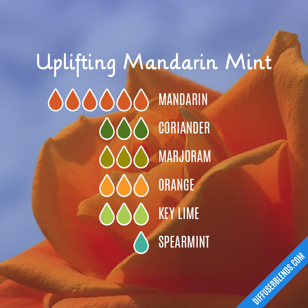 Uplifting Mandarin Mint | DiffuserBlends.com