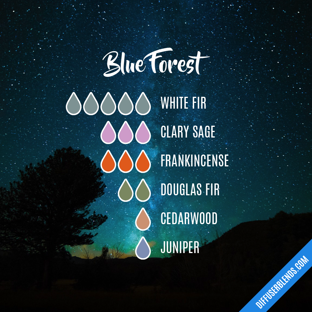 Blue Forest | DiffuserBlends.com