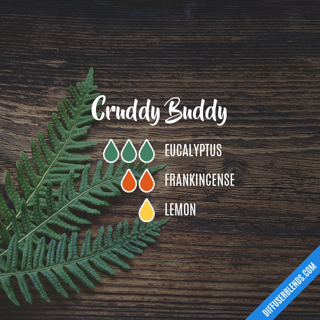 Cruddy Buddy | DiffuserBlends.com