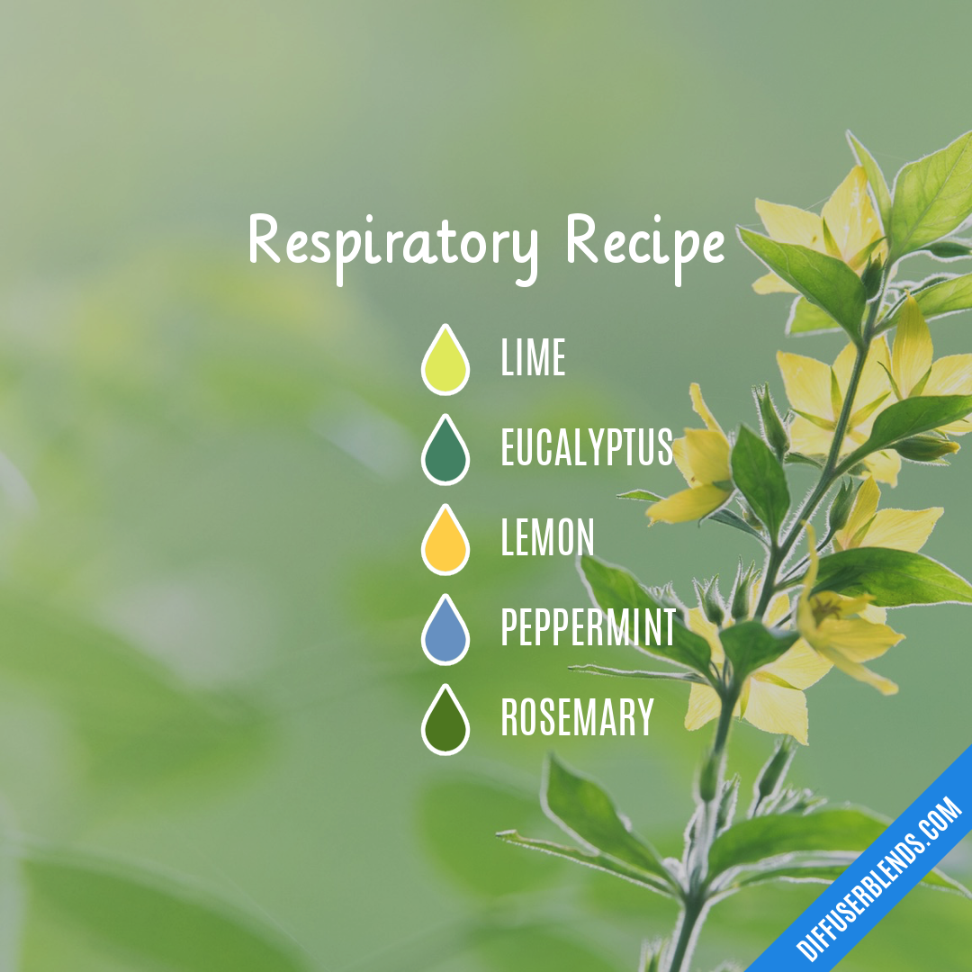 Respiratory Recipe | DiffuserBlends.com