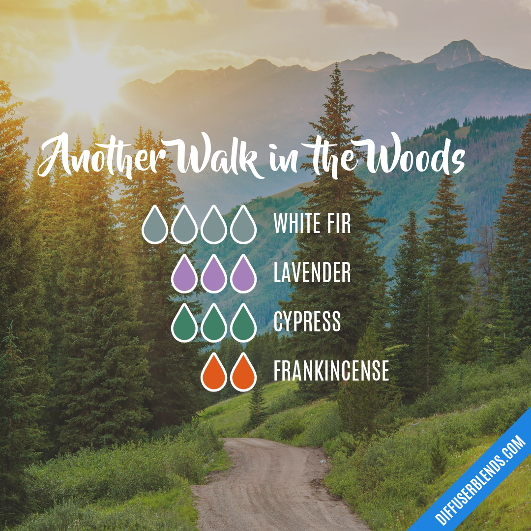 Another Walk in the Woods | DiffuserBlends.com