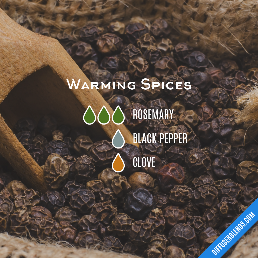 Warming Spices | DiffuserBlends.com