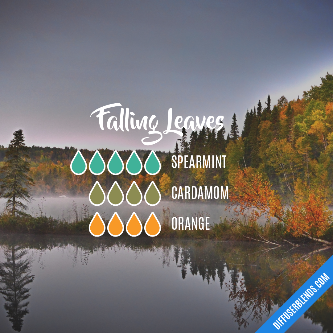 Falling Leaves | DiffuserBlends.com