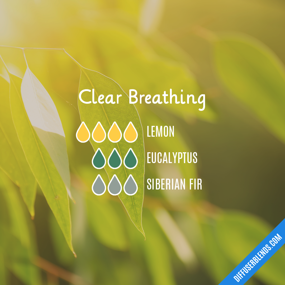 Clear Breathing | DiffuserBlends.com