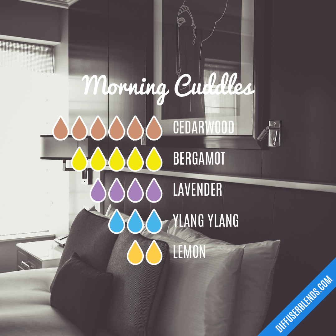 Morning Cuddles | DiffuserBlends.com