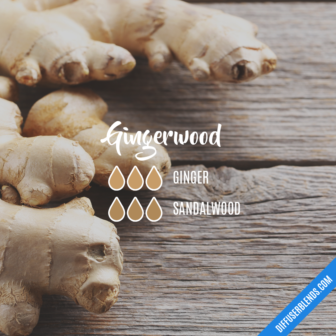 Gingerwood | DiffuserBlends.com
