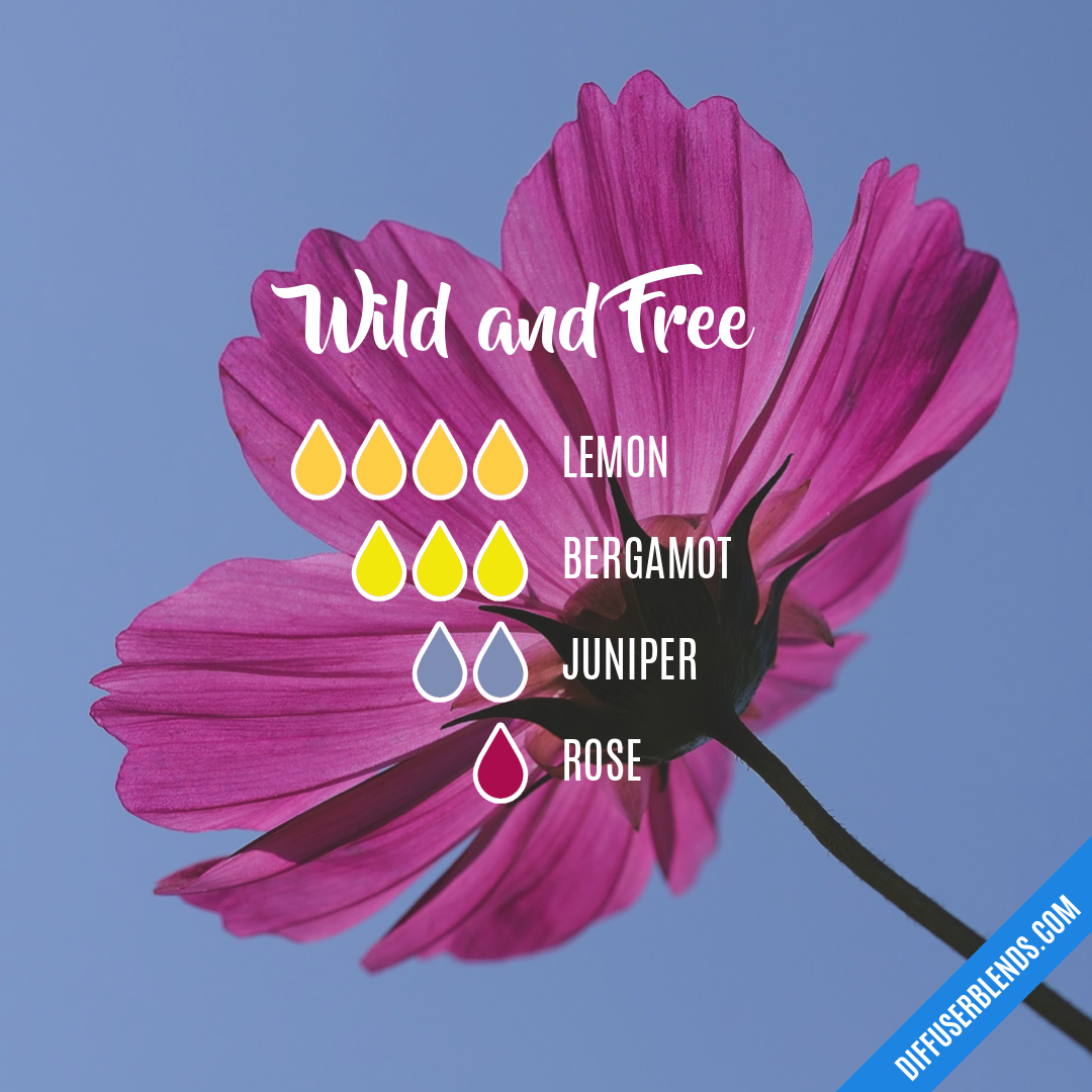 Wild and Free | DiffuserBlends.com