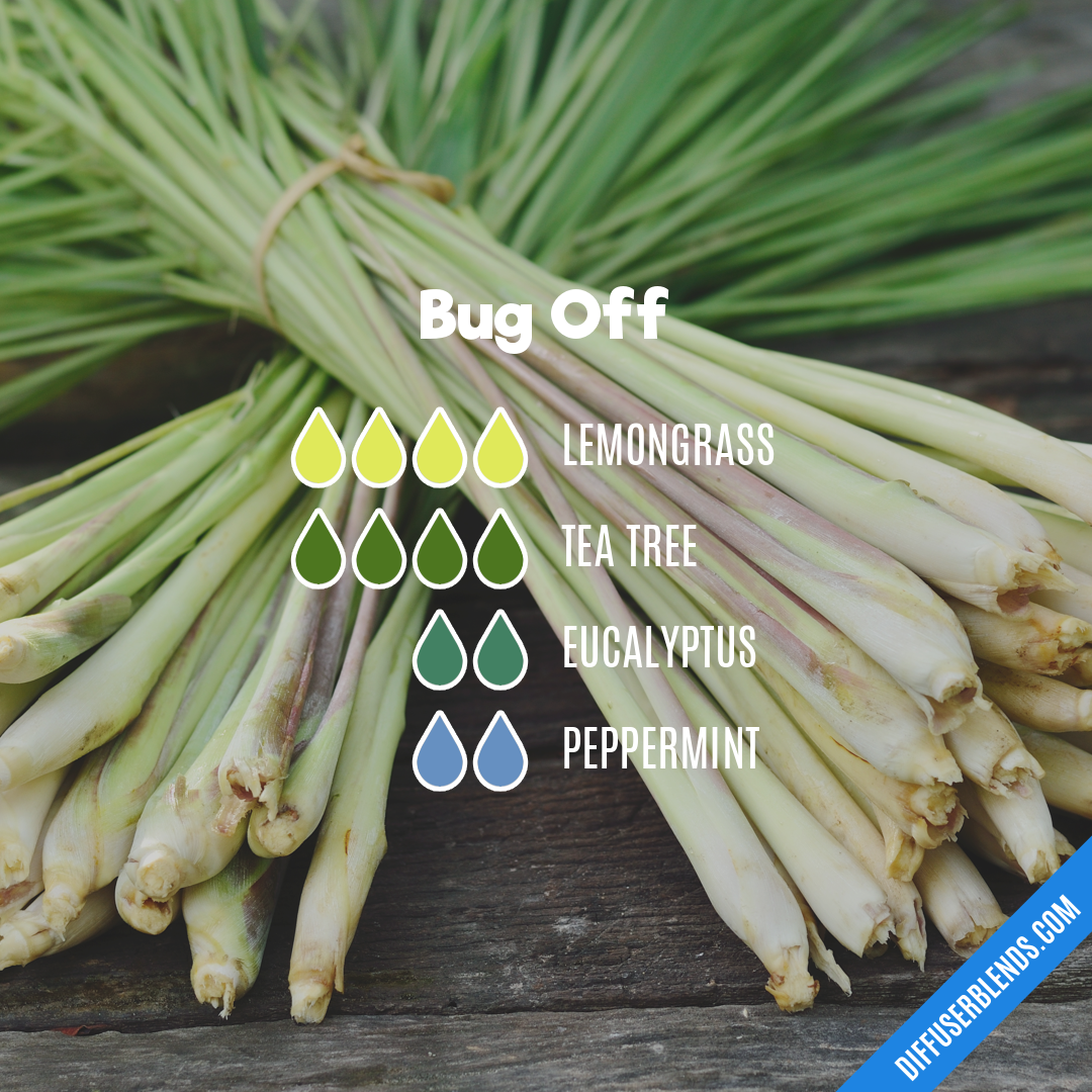 Bug Off | DiffuserBlends.com