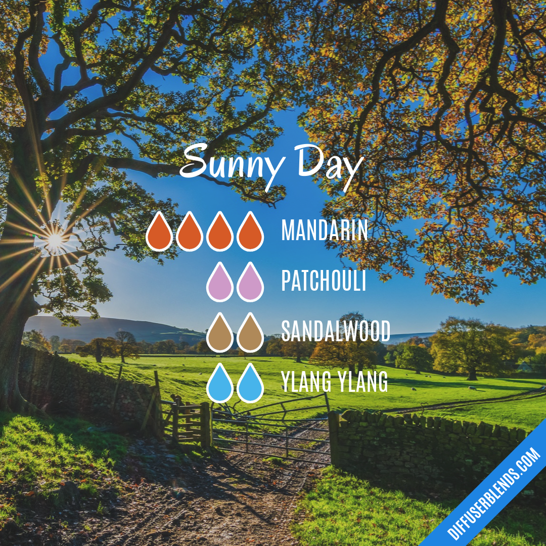 Sunny Day | DiffuserBlends.com