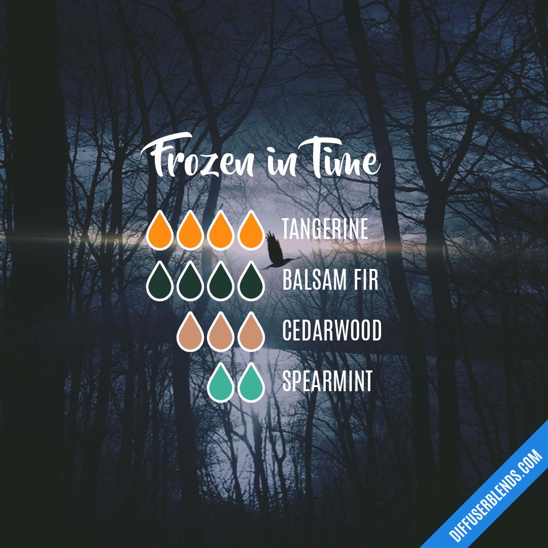 Frozen in Time | DiffuserBlends.com
