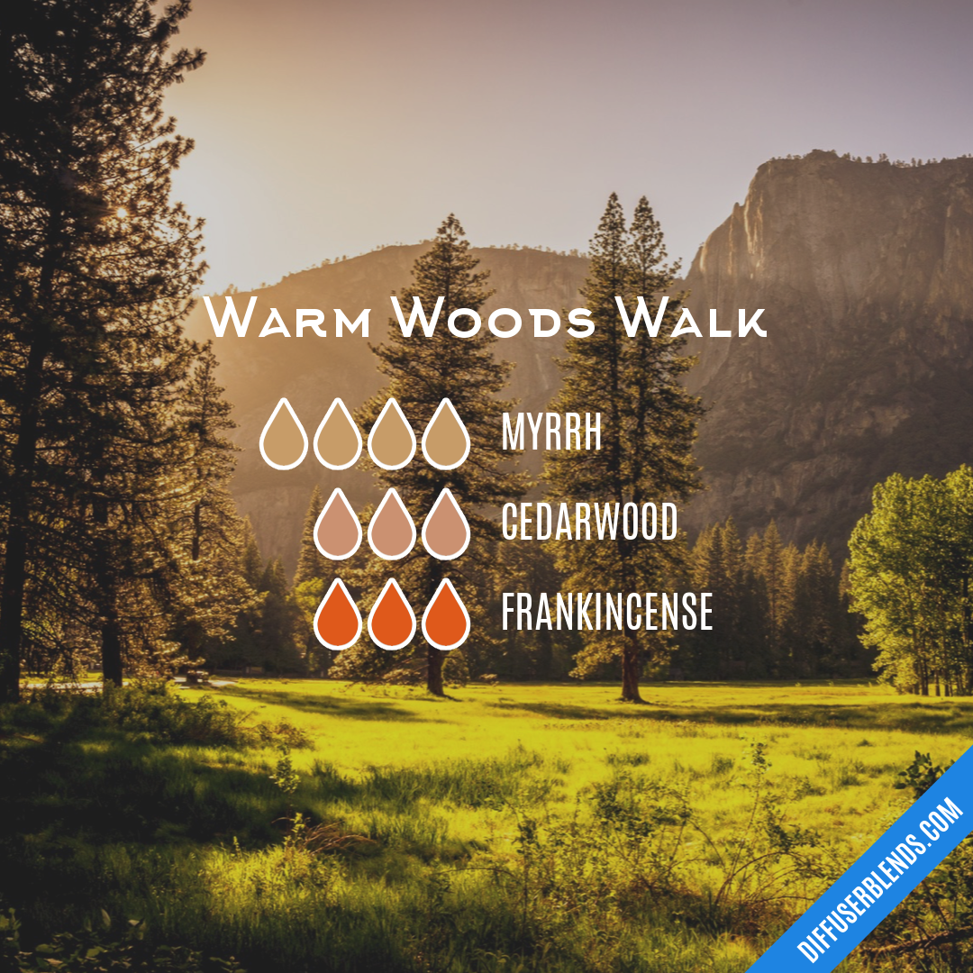 Warm Woods Walk | DiffuserBlends.com