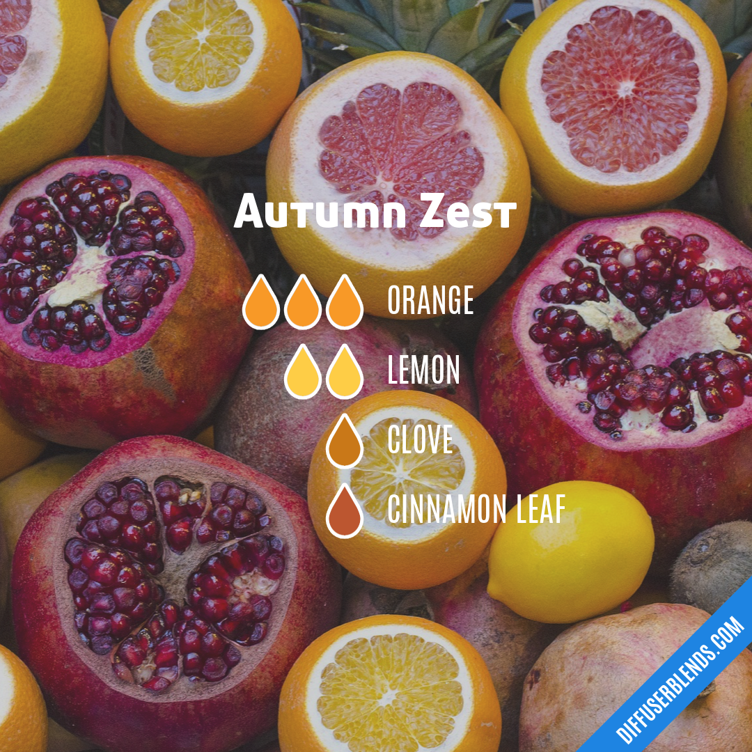Autumn Zest | DiffuserBlends.com