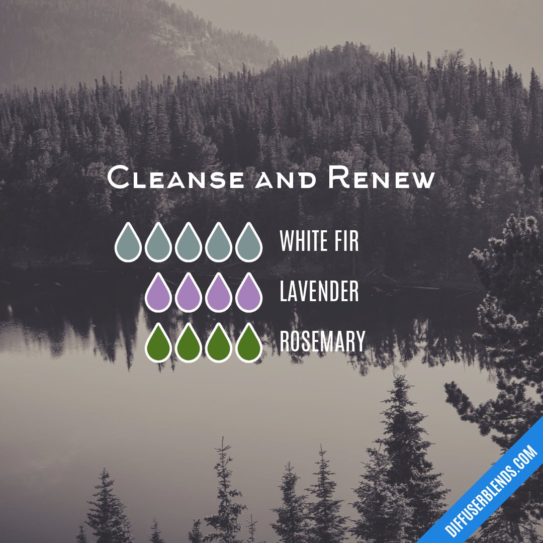 Cleanse and Renew | DiffuserBlends.com