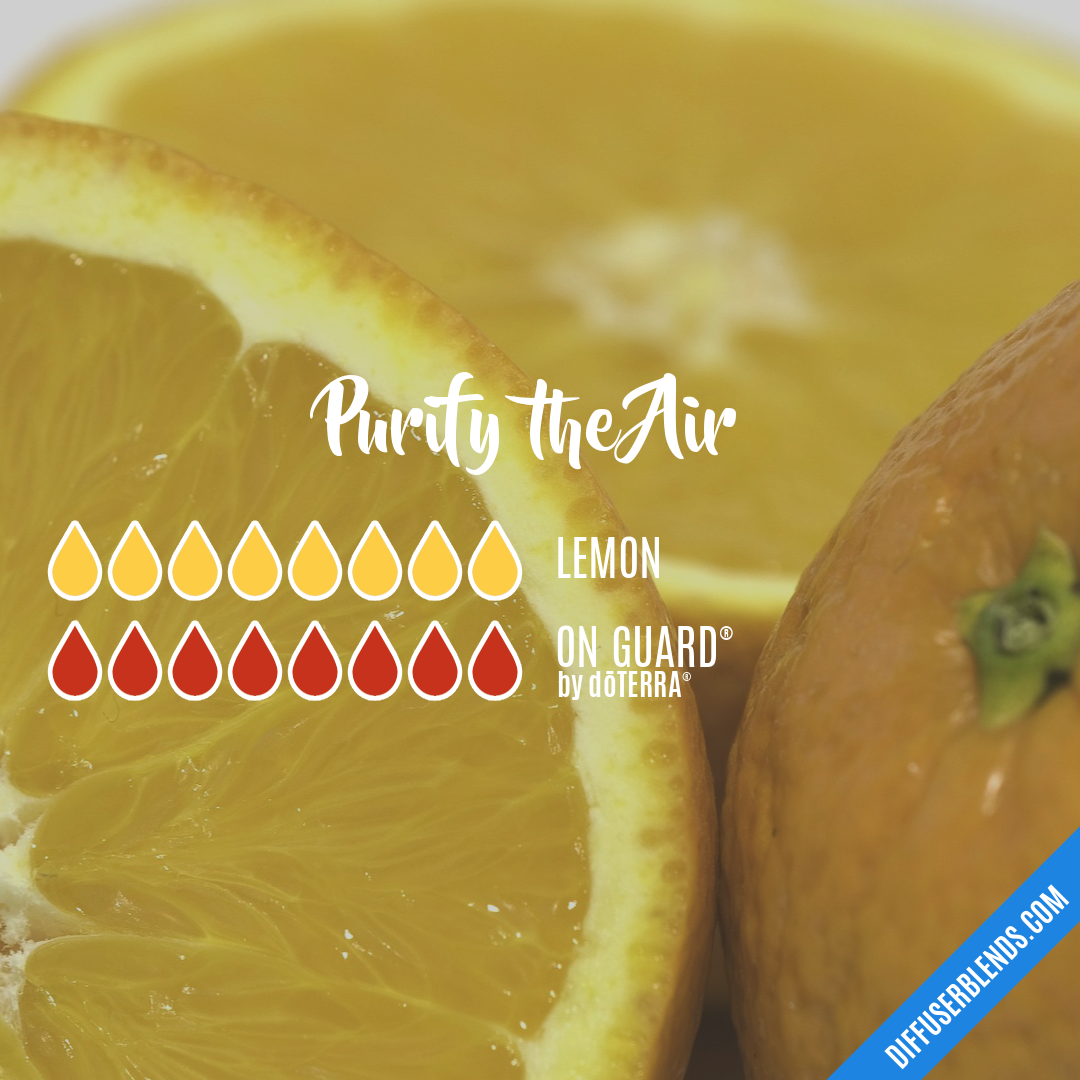 Purify the Air | DiffuserBlends.com