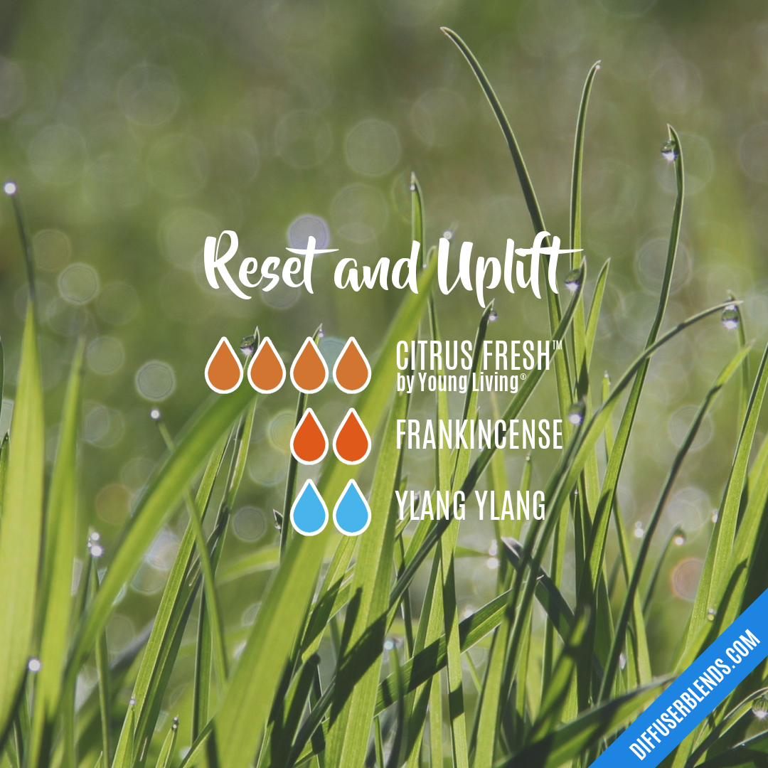 Reset and Uplift | DiffuserBlends.com