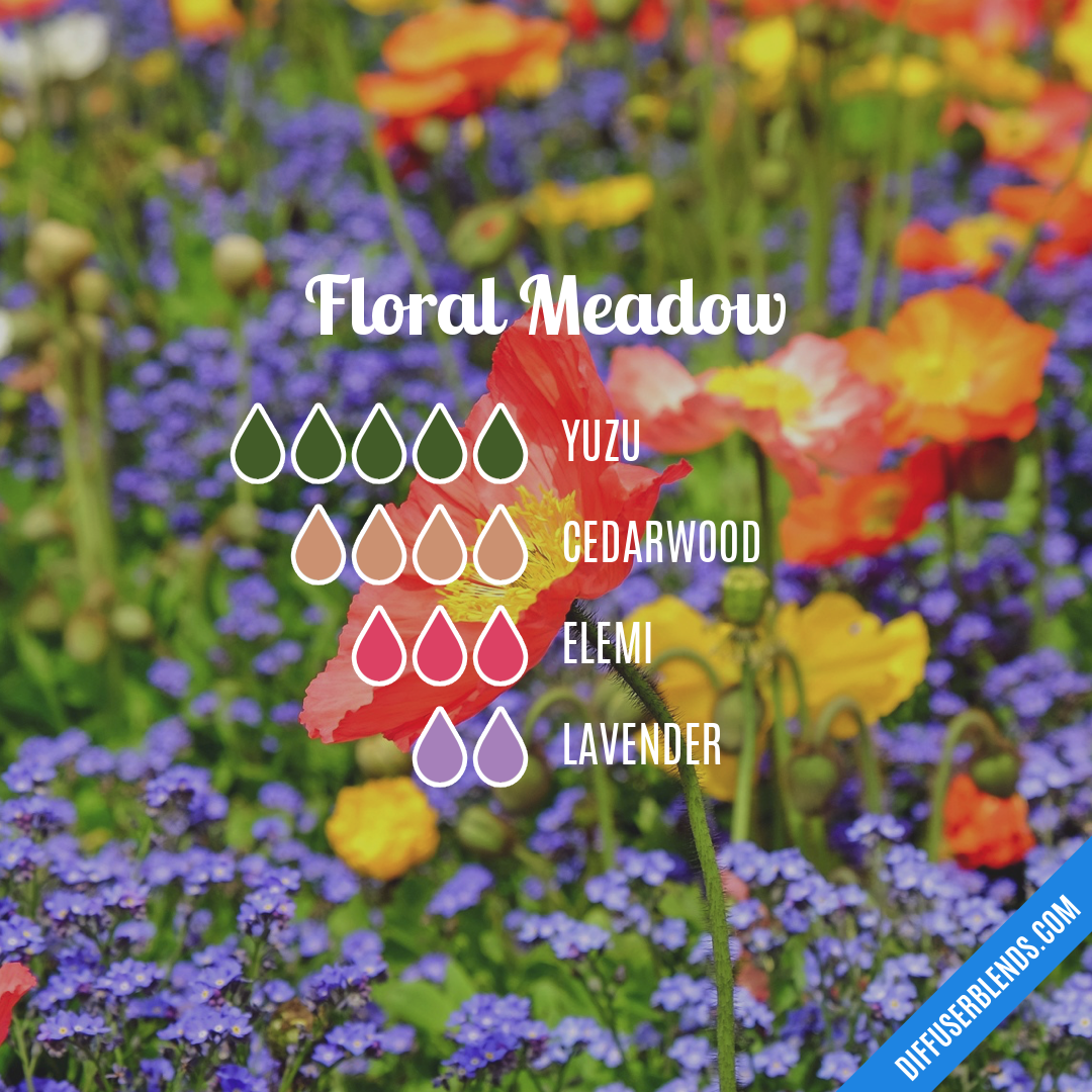 Floral Meadow | DiffuserBlends.com