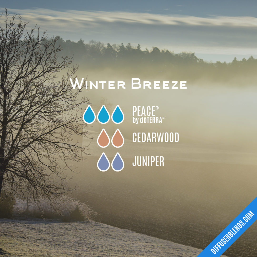 Winter Breeze | DiffuserBlends.com