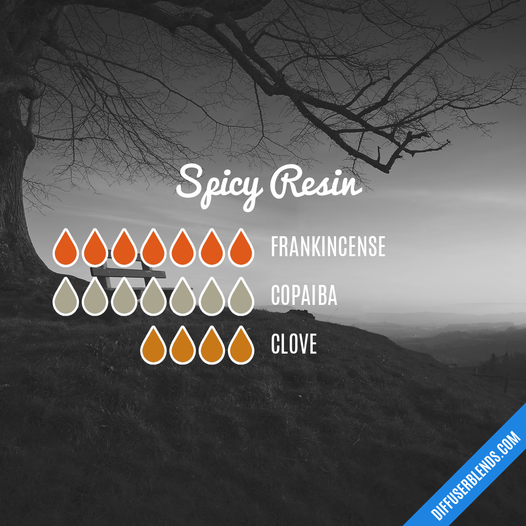 Spicy Resin | DiffuserBlends.com