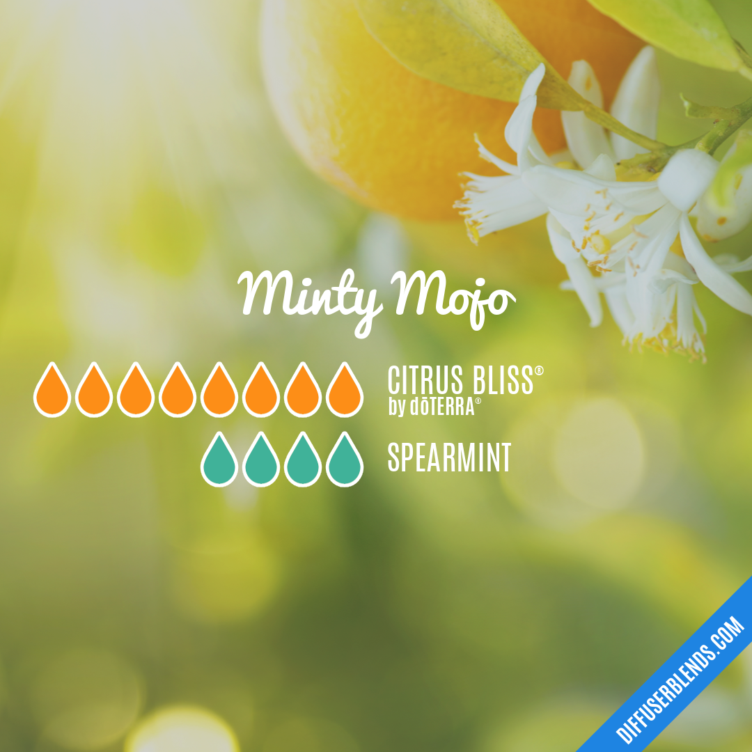 Minty Mojo | DiffuserBlends.com