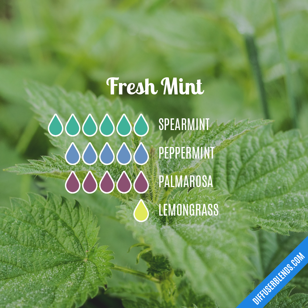 Fresh Mint | DiffuserBlends.com