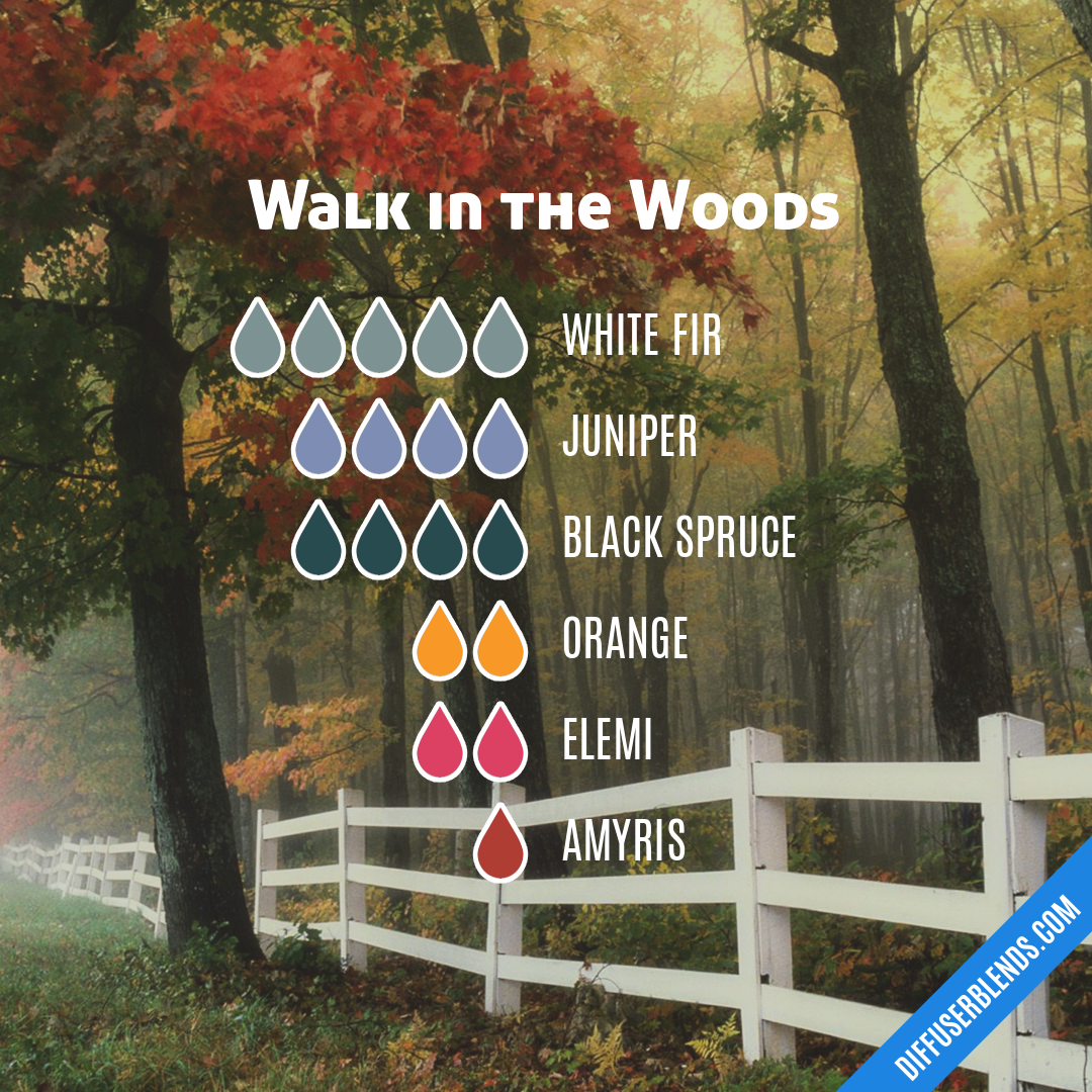 Walk in the Woods | DiffuserBlends.com