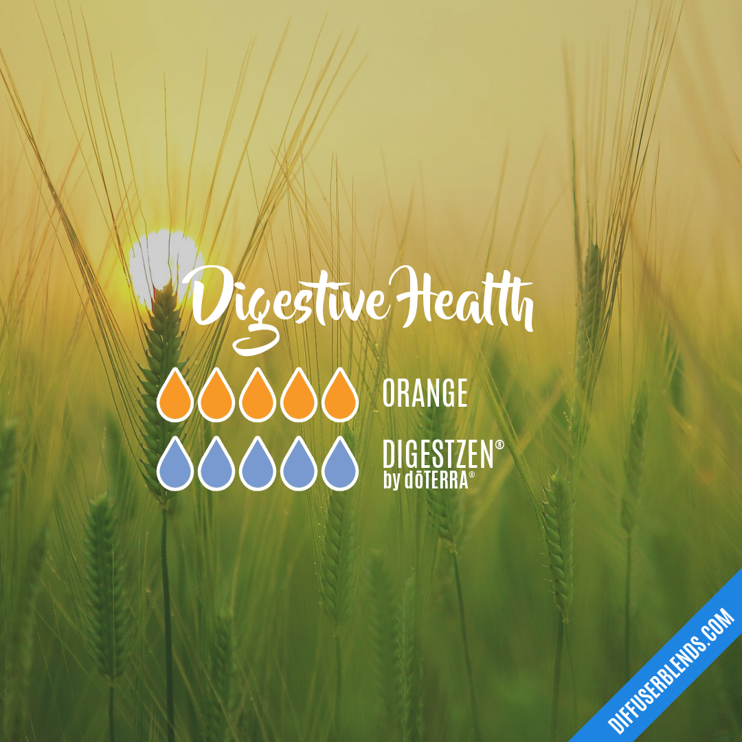 Digestive Health | DiffuserBlends.com