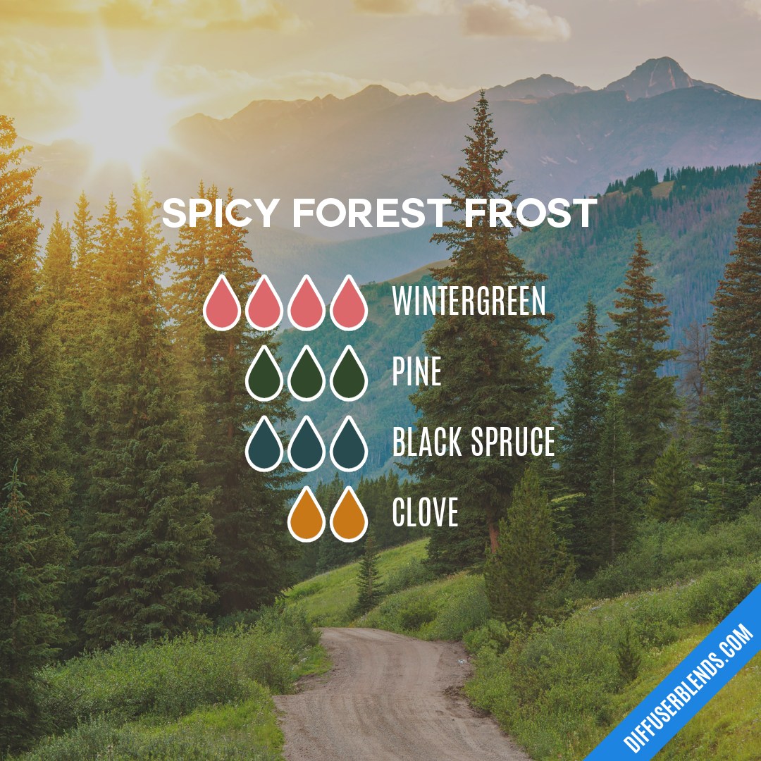 Spicy Forest Frost | DiffuserBlends.com