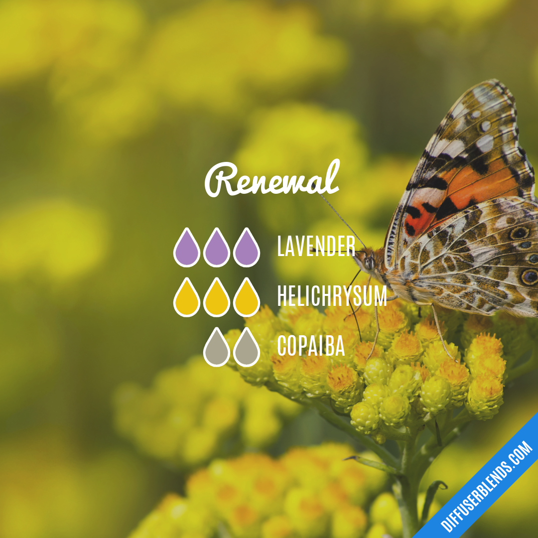 Renewal | DiffuserBlends.com